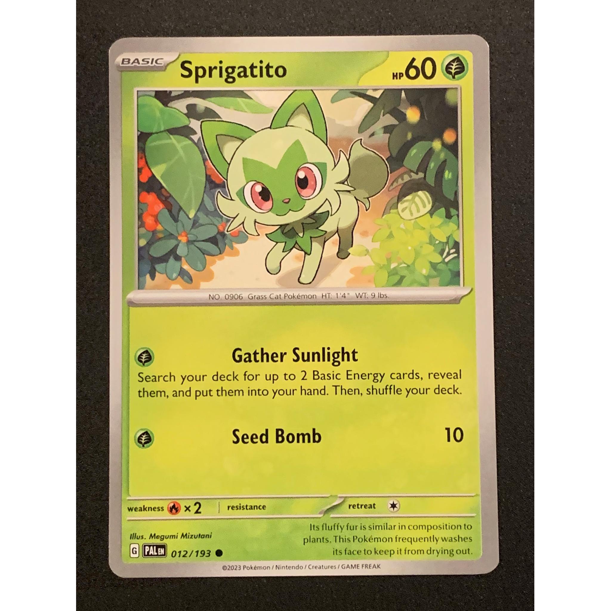 Sprigatito | 012/193 | Common